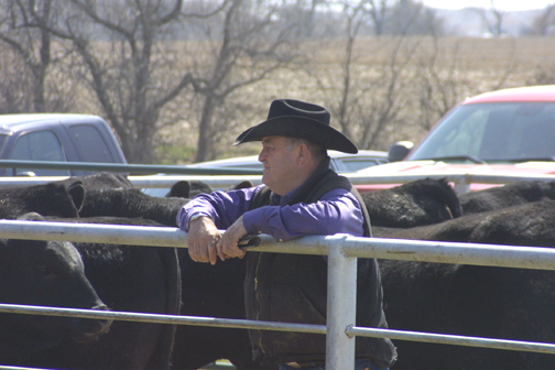 Frey Angus 35th Annual Bull Sale | TSLN.com
