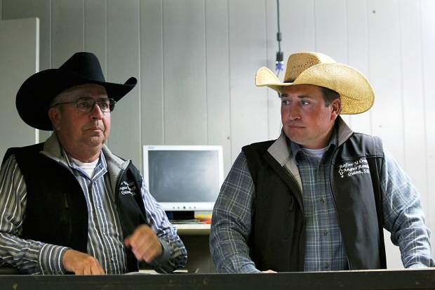 Fortune’s Rafter U Cross 15th Annual Angus Bull Sale | TSLN.com
