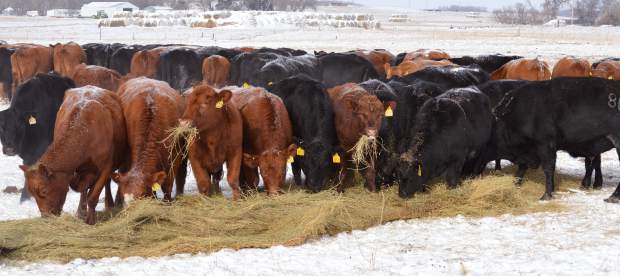 Creating a change: Dukart talks sustainable agriculture and how to make ...