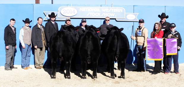 Local Angus cattle prove worthy at NWSS | TSLN.com