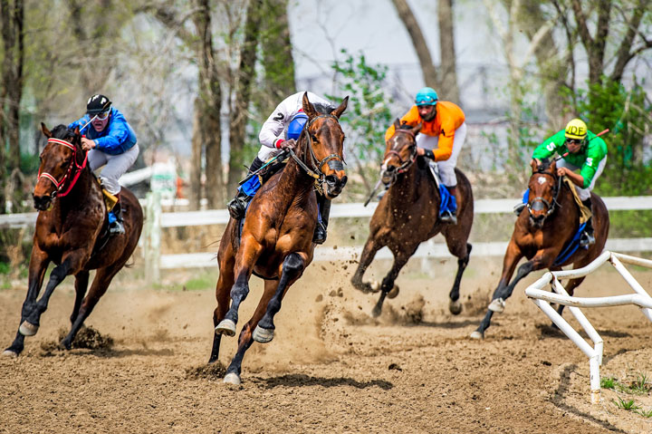 Horses still on track at Fort Pierre Horse Races | TSLN.com