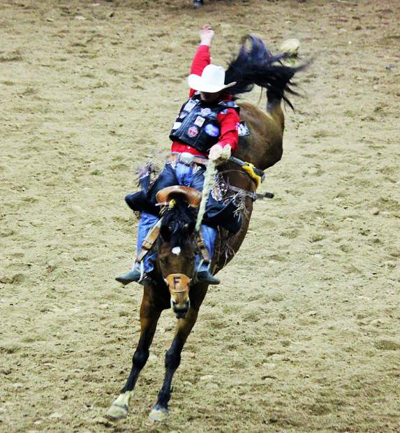 Scheer talent | TSLN.com