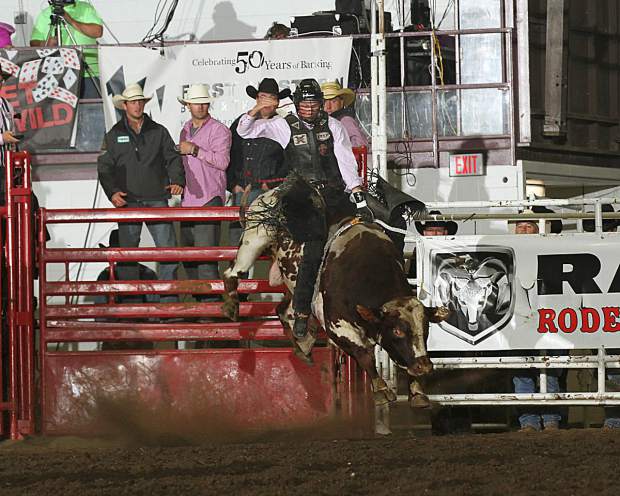 Badlands Circuit horses, bulls noted for excellence at circuit finals ...