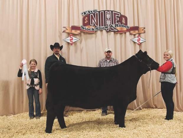 NILE Simmental Show | TSLN.com