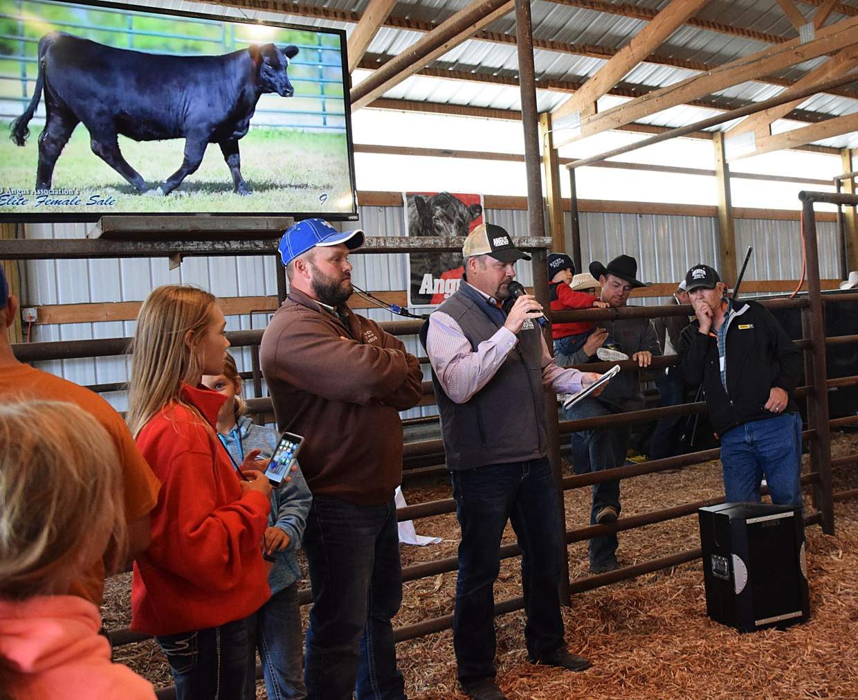 South Dakota Angus Tour uncovers black gold | TSLN.com