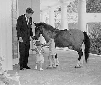 All the Presidents’ Horses | TSLN.com