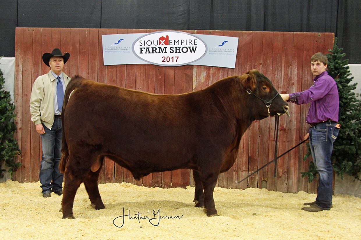 SE Farm Show Red Angus Show and Sale | TSLN.com