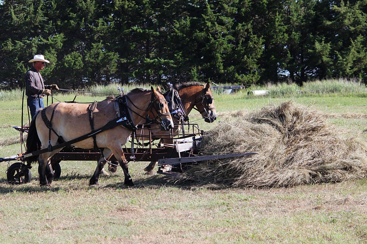 Forage 2017: Licking family keeps up horse haying tradition | TSLN.com