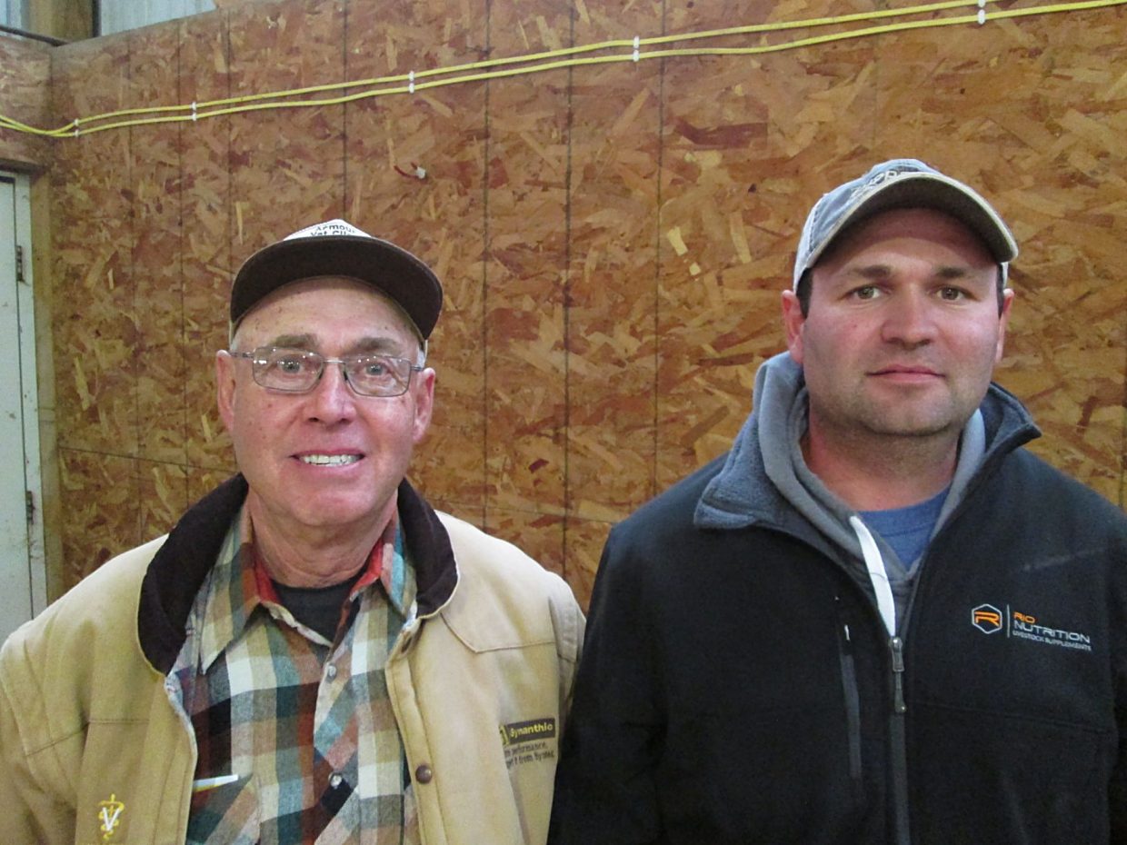 Lau Angus Bull Sale—Breeding Angus Cattle for 49 Years | TSLN.com