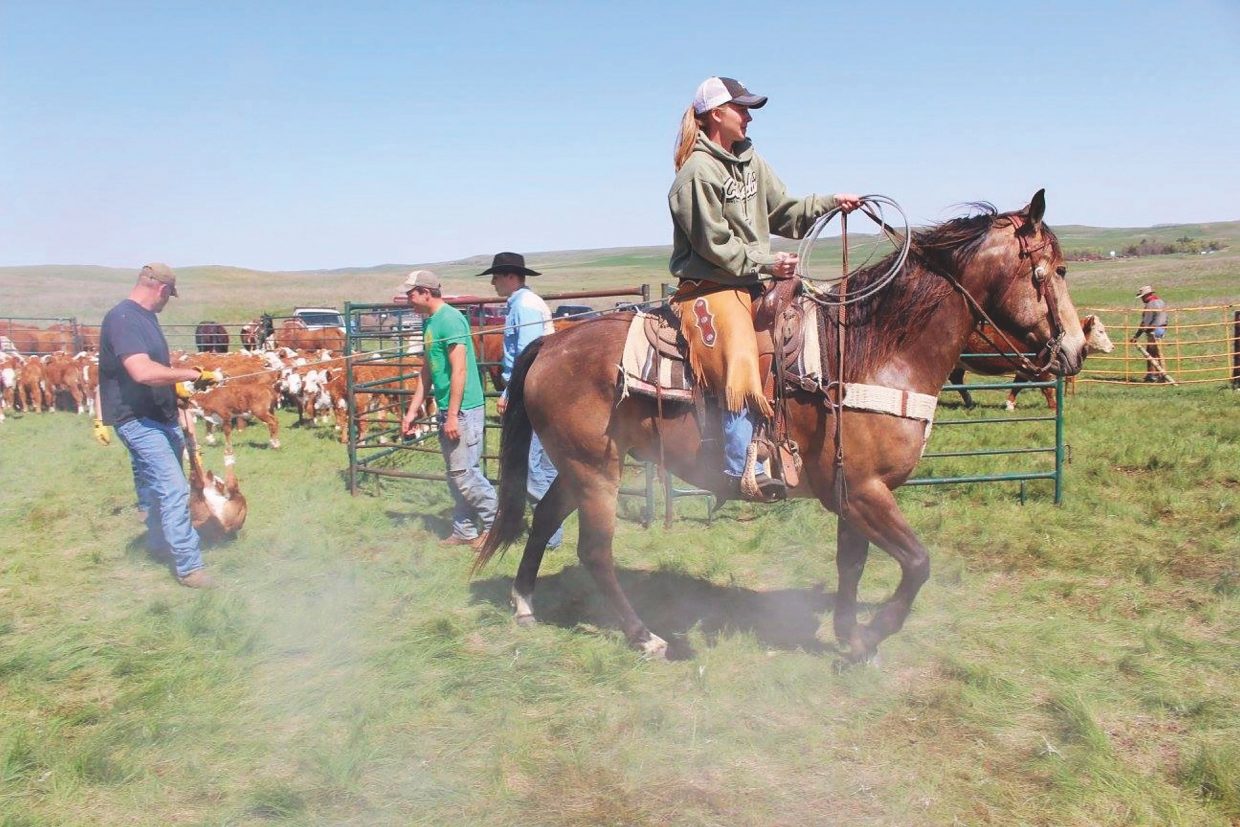 Hats off to the ranchwife | TSLN.com