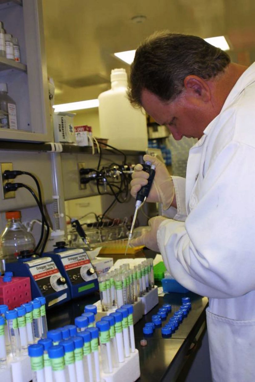 Bovine DNA sequencing offers insight for researchers, beef producers ...