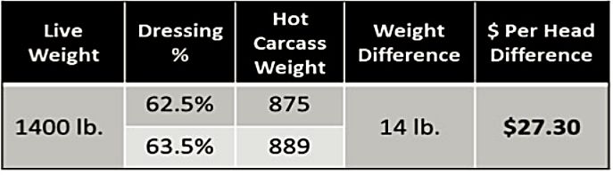 CAB talks quality beef grade, dressing percentage and grids | TSLN.com