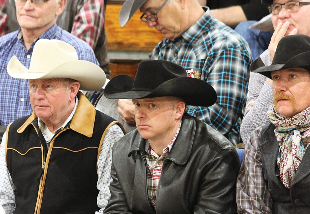 Millar Angus 16th Annual Bull Sale Report | TSLN.com