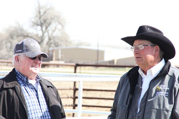 Schuler Red Angus 35th Annual Production Sale | TSLN.com