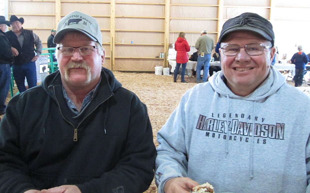 Forgey & Graesser 8th Annual Production Sale | TSLN.com