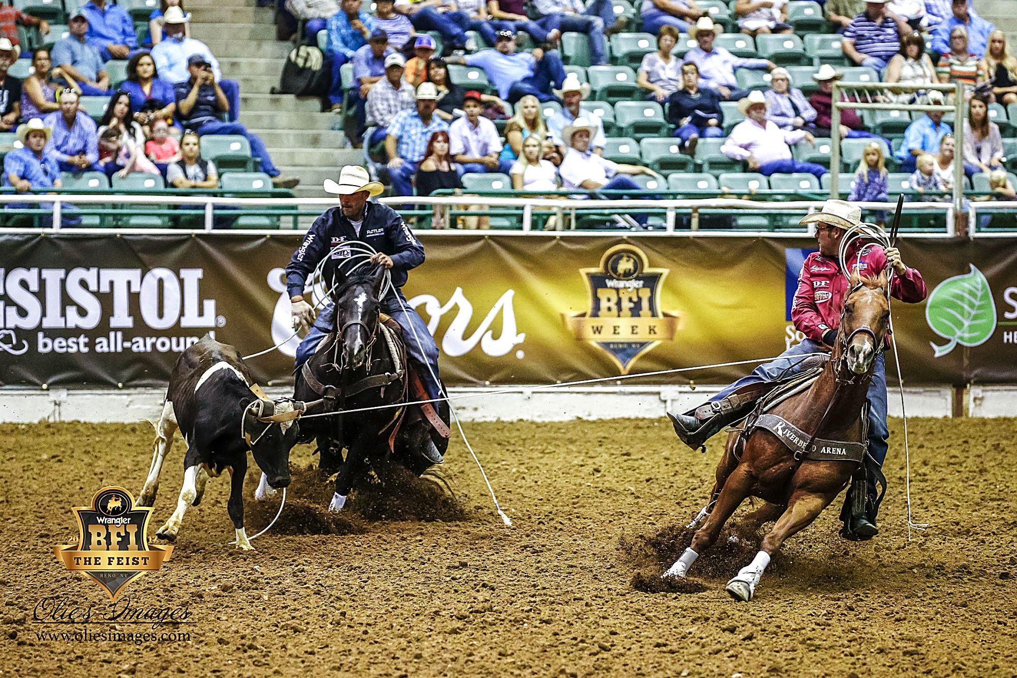 Winning ropers earn $120,000 at BFI in Reno | TSLN.com