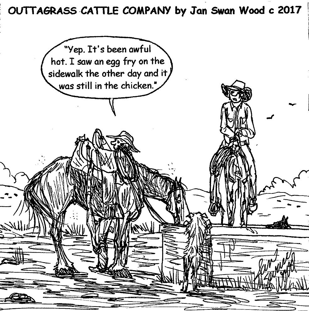 Outtagrass Cattle Co. cartoon by Jan Swan Wood | TSLN.com
