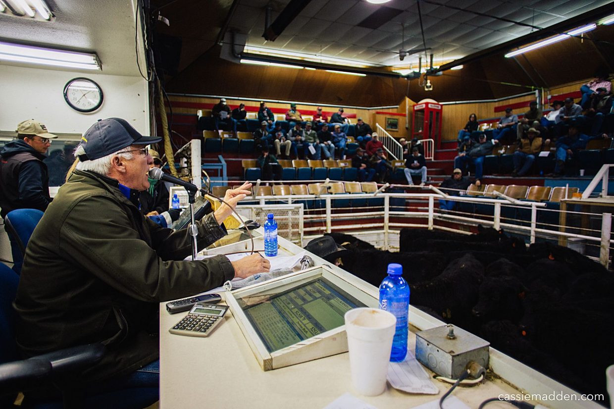 Changing of the guard: Shawn Madden steps away from Torrington ...