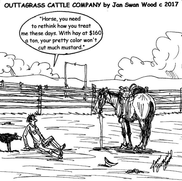 Outtagrass Cattle Co. cartoon by Jan Swan Wood | TSLN.com