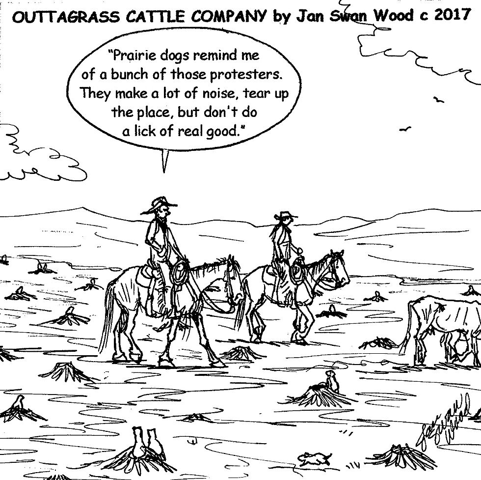 Outtagrass Cattle Co. cartoon | TSLN.com
