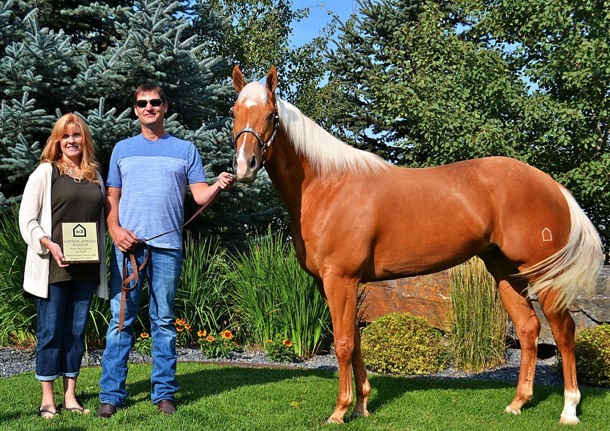 Myers Ranch/Copper Spring Ranch Performance Horse Sale | TSLN.com