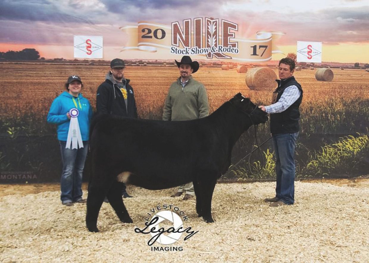 2017 NILE Results: Simmental Show | TSLN.com