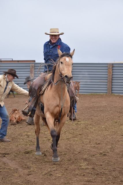 Moving Mountains: Vern Ward’s Recovery | TSLN.com