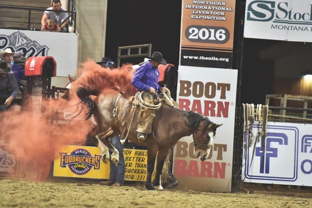 12 teams qualify for Farstad Oil Ranch Rodeo Finals | TSLN.com