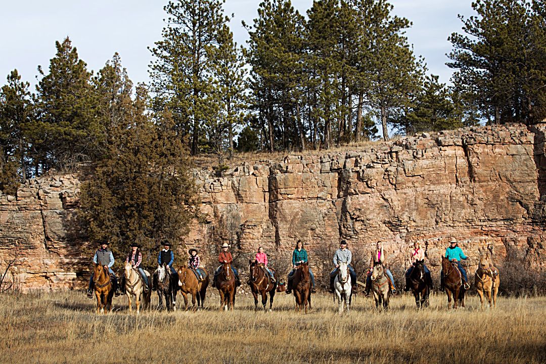 A strong Chord: Cee Heart Quarter Horses named producer of the year ...