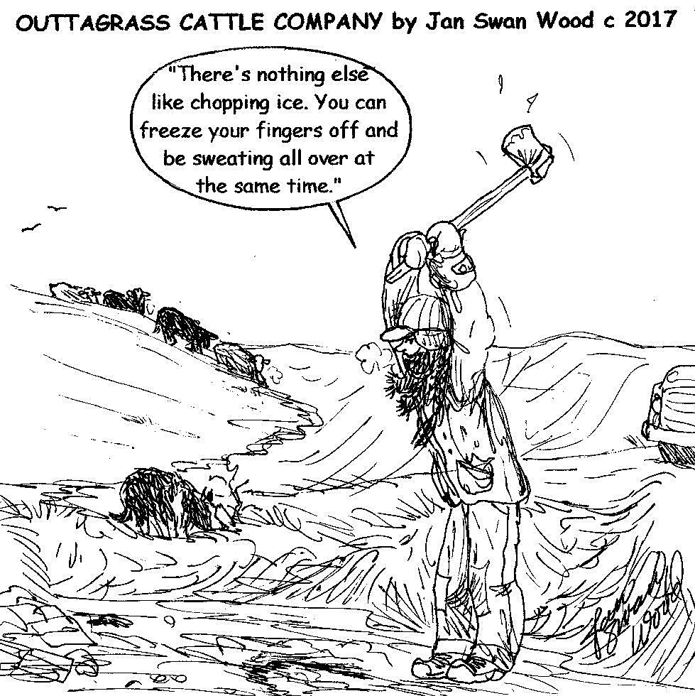 Outtagrass Cattle Co. cartoon by Jan Swan Wood | TSLN.com