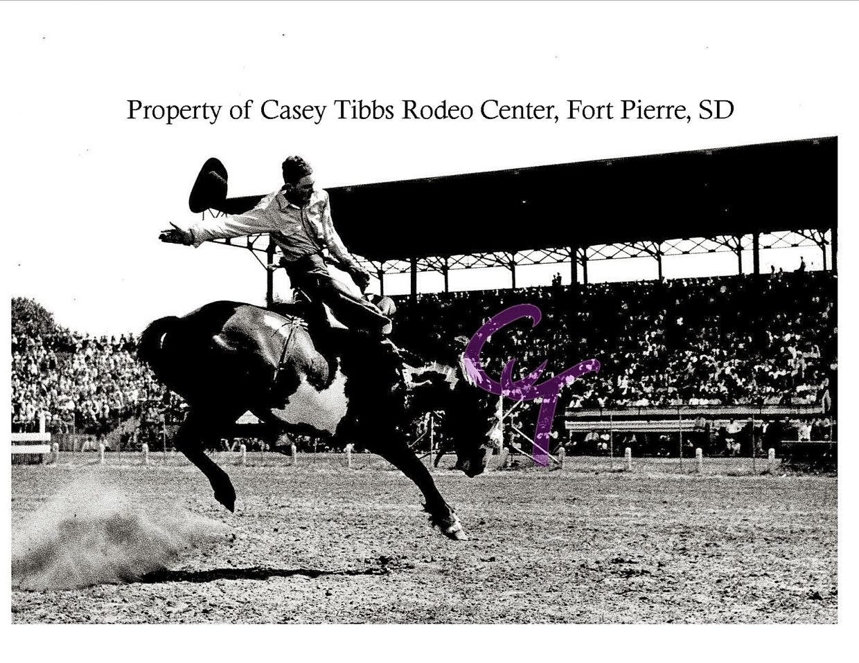 Rare photo of Casey Tibbs surfaces 70 years later | TSLN.com