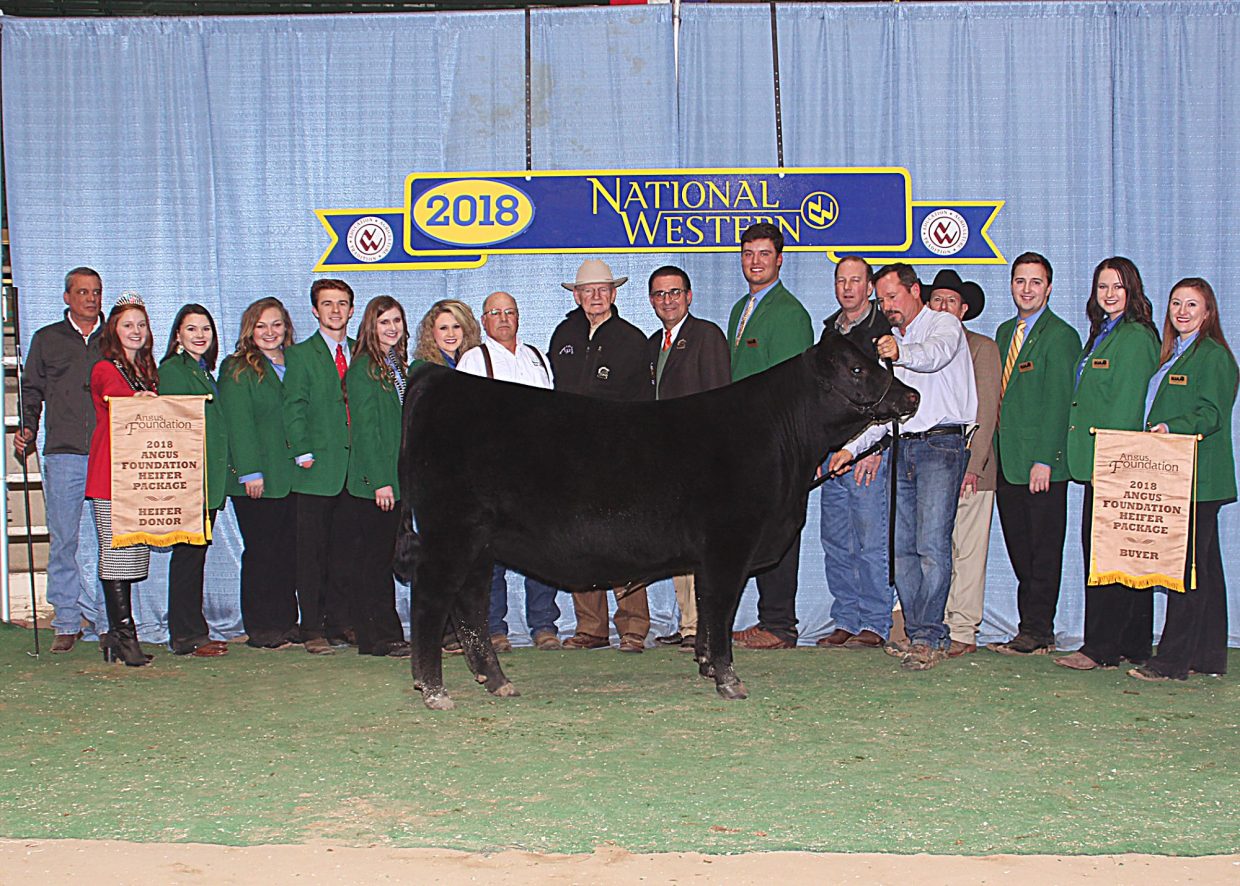 Angus Foundation’s Heifer Package raises $278K | TSLN.com