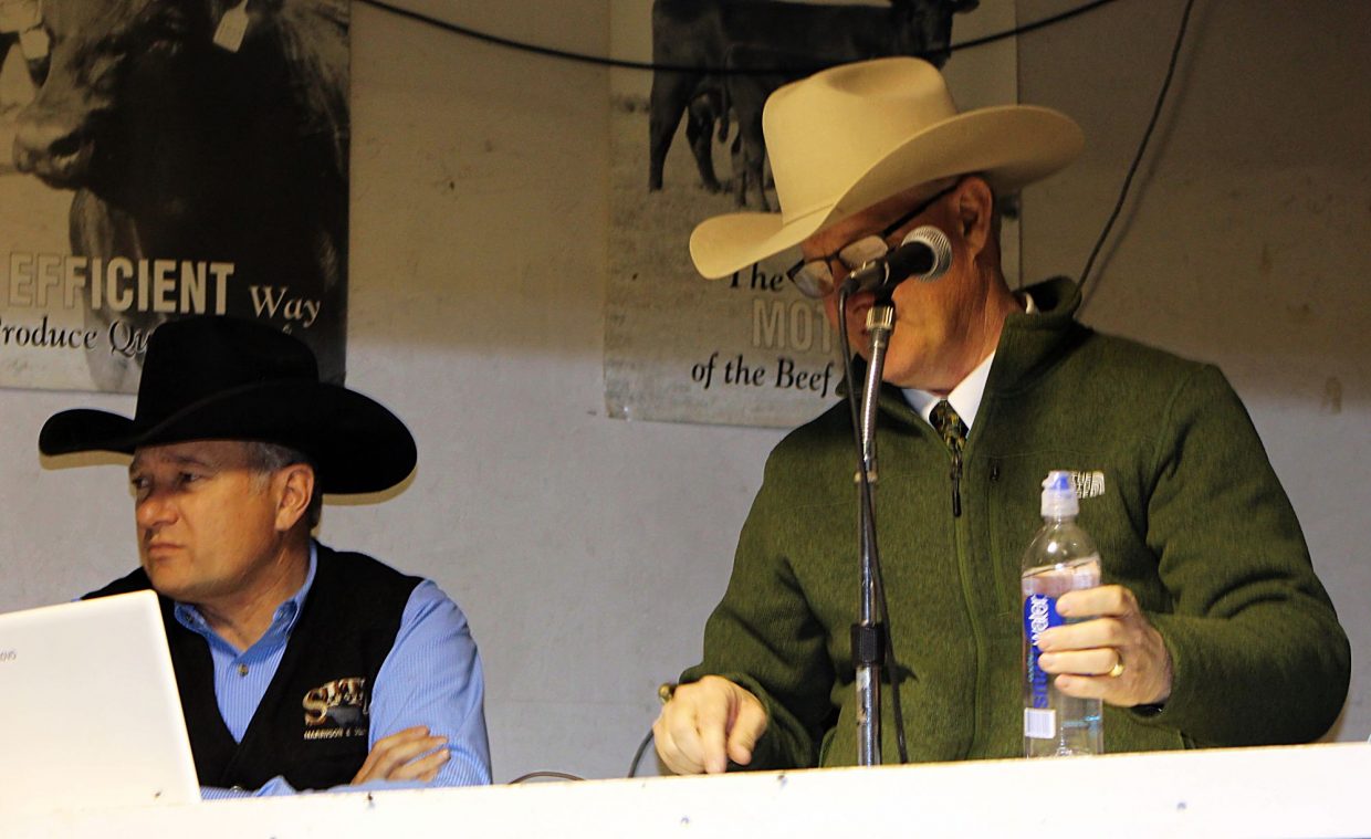 Sitz Angus 16th Spring Bull Sale | TSLN.com