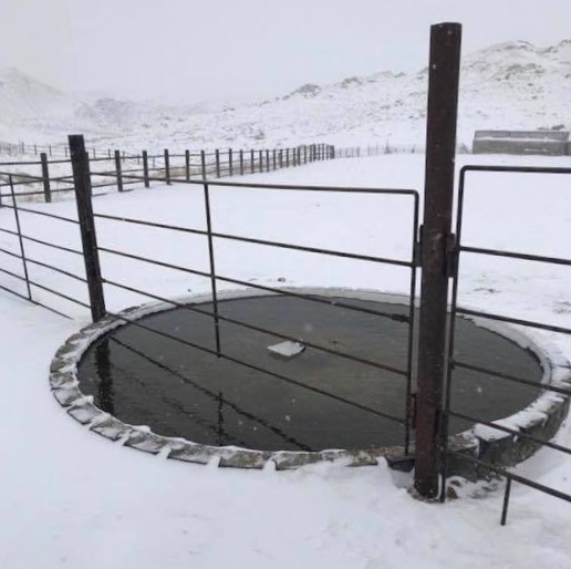 Innovation Nation: New products to make life easier on the ranch (and ...