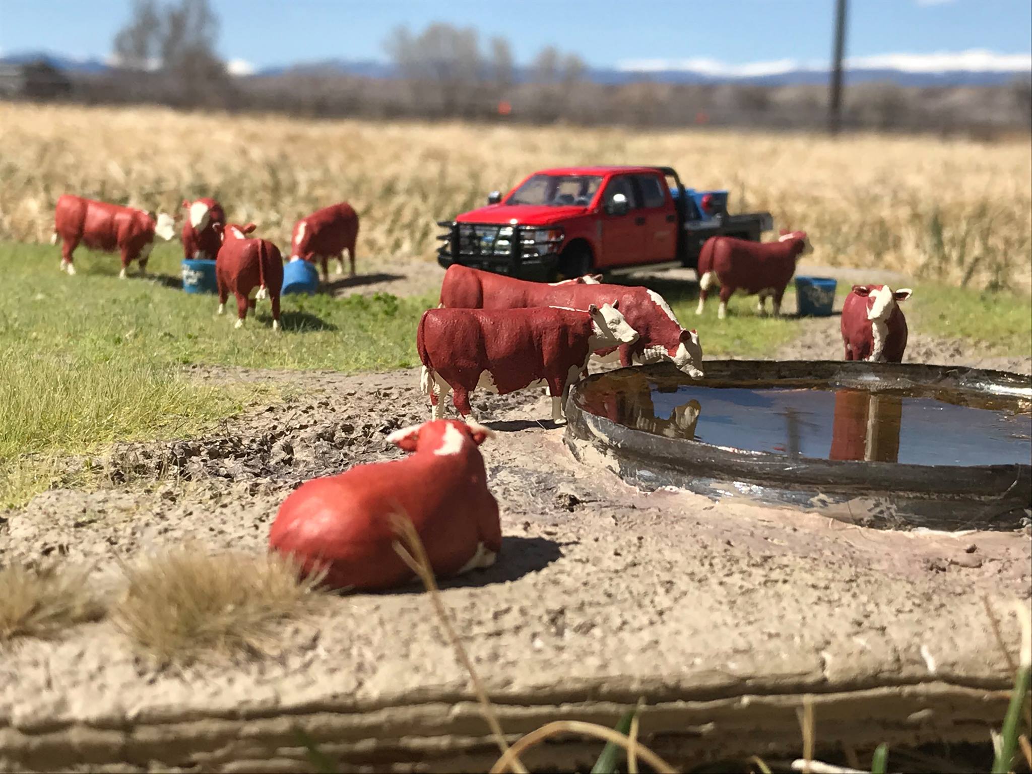 Barta Livestock builds more than toys with scale-model livestock | TSLN.com
