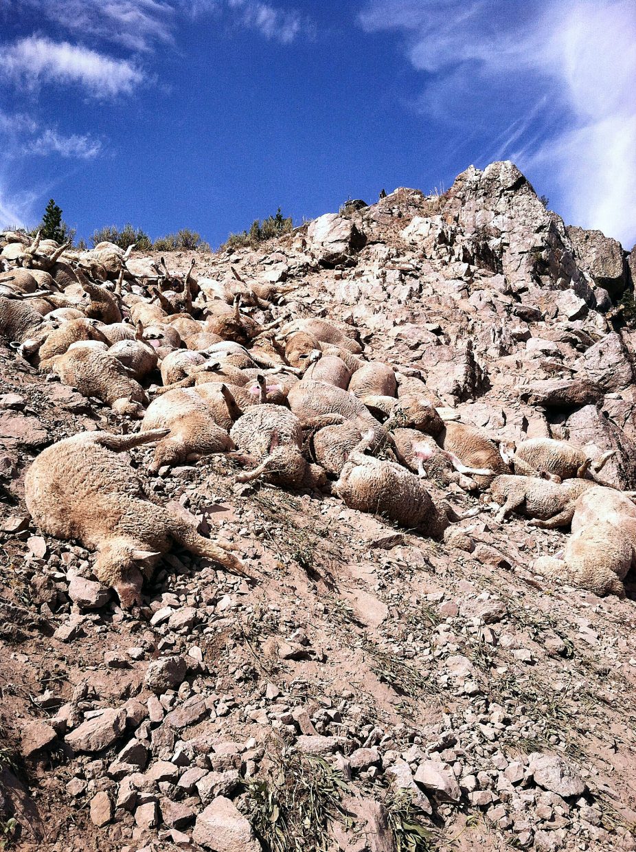 To keep ranching alive: Amendments to the Endangered Species Act would ...