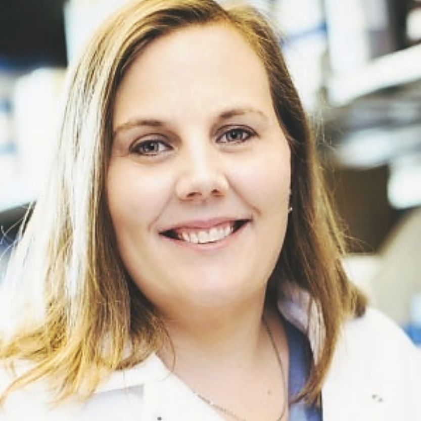 MSU animal science professor uses genetics to find answers to dairy ...