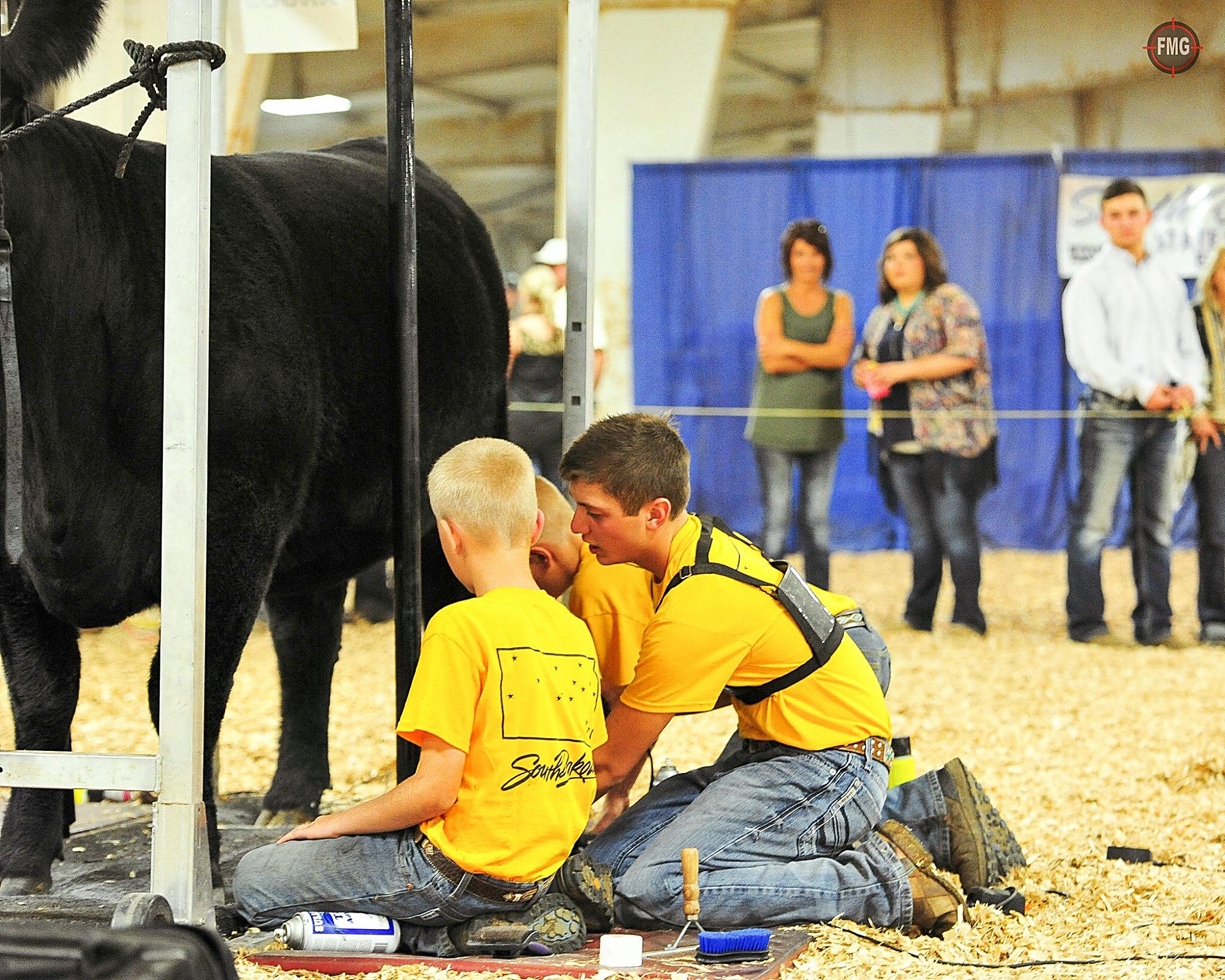 Tyler Bush joins National Junior Angus Association board of directors ...
