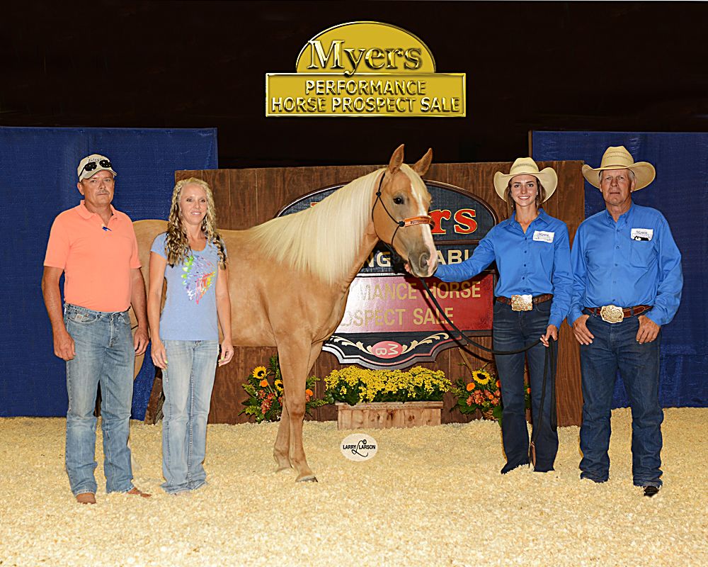 2018 Myers Performance Horse Prospect Sale | TSLN.com