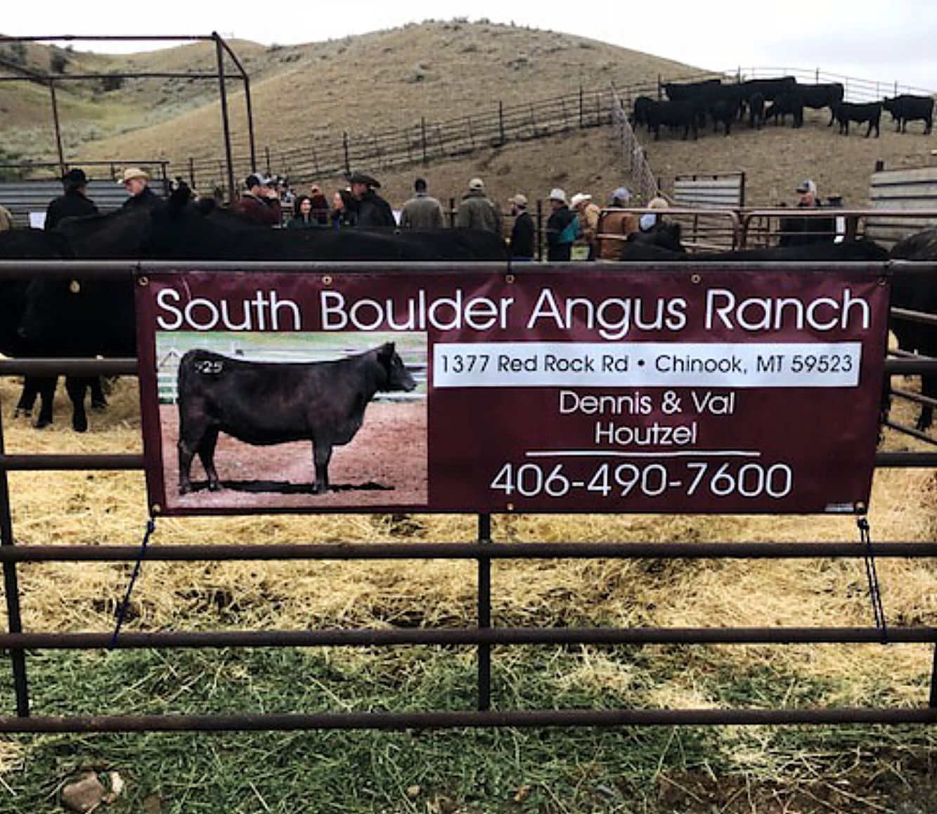 Memories from the Montana Angus Tour | TSLN.com