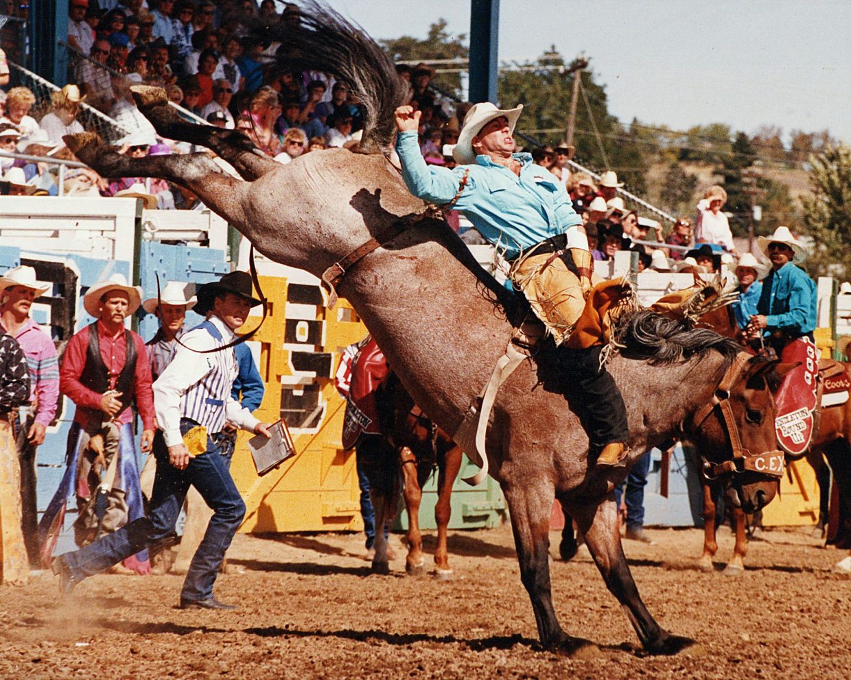 Deb Greenough gets Pro Rodeo Hall of Fame nod | TSLN.com