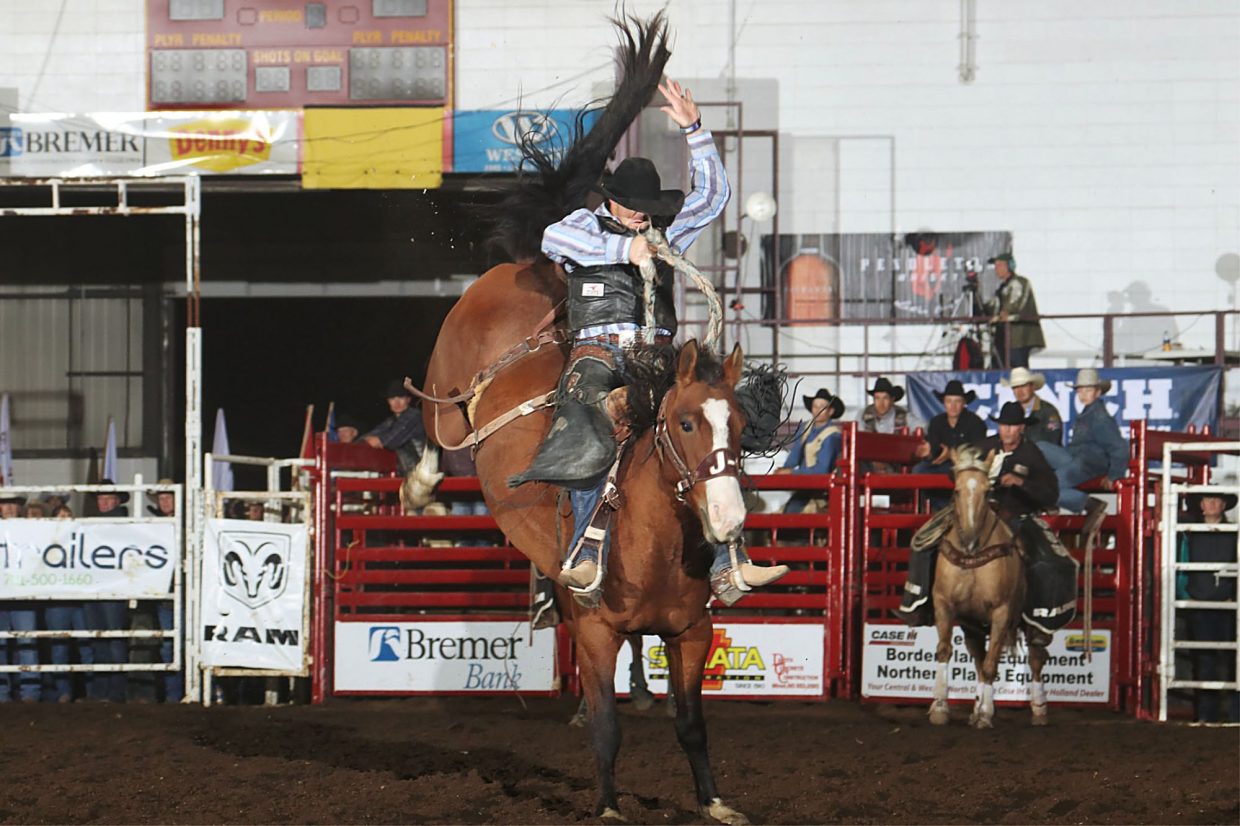 Bucking horses, bulls selected for awards in the Badlands Circuit ...