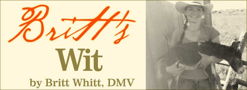 Britt Whitt: Get those cows pregged | TSLN.com