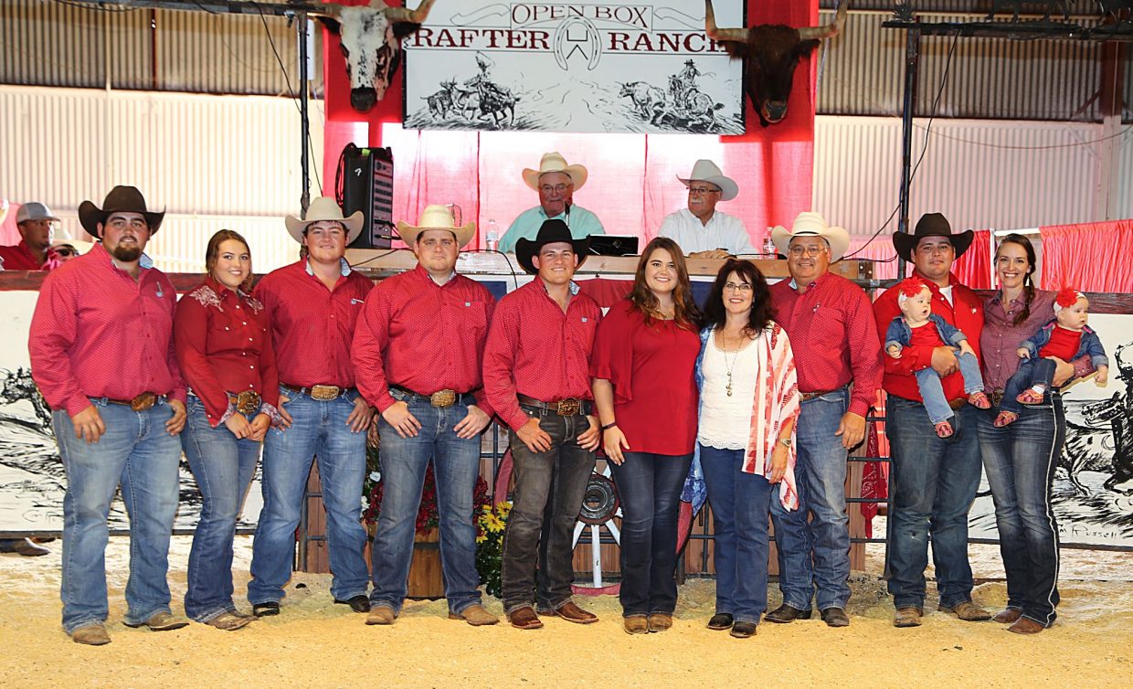 Open Box Rafter Quarter Horse Sale | TSLN.com