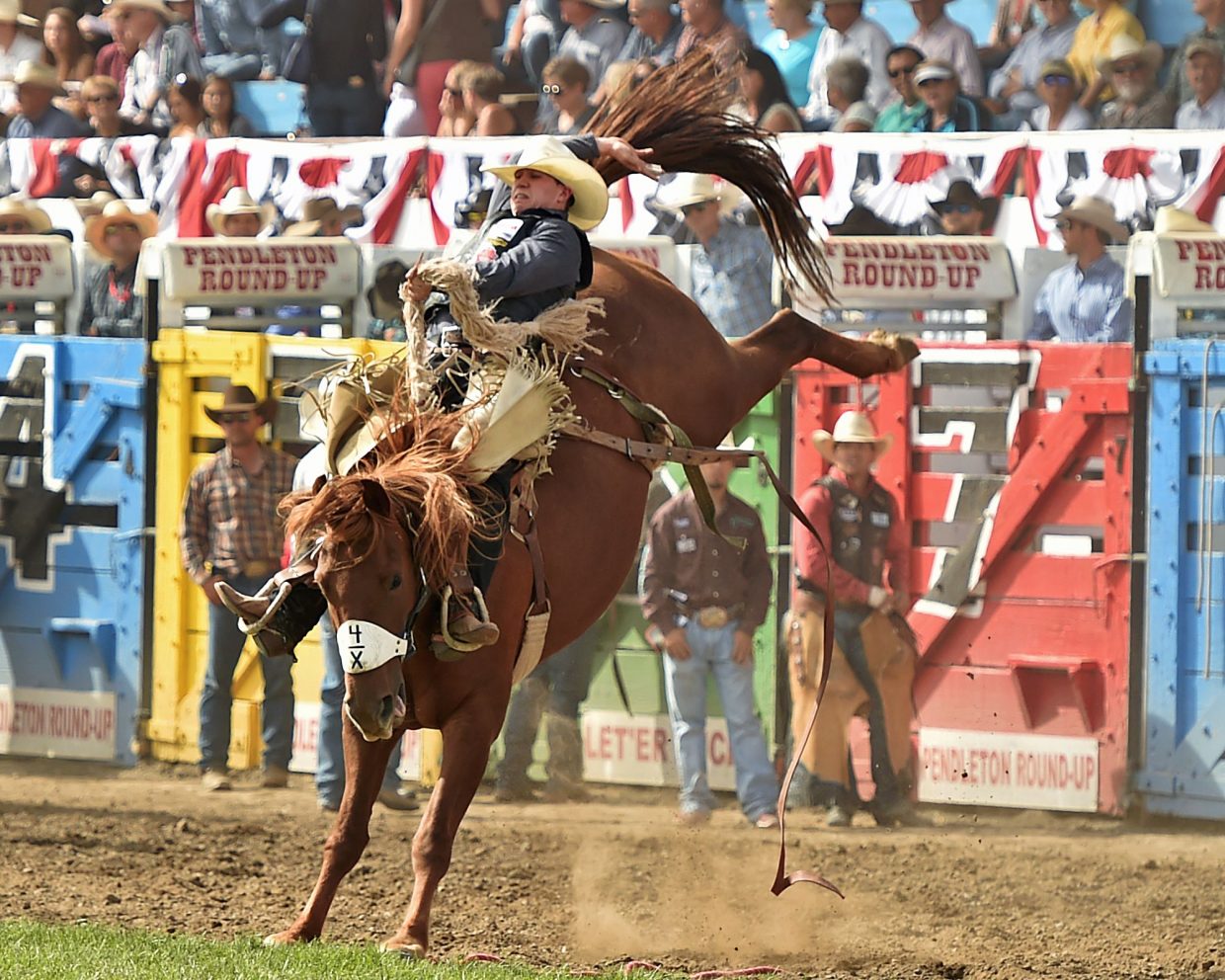 Rough and Tough: Breuer, Breding, Cress, Brooks to ride roughstock at ...