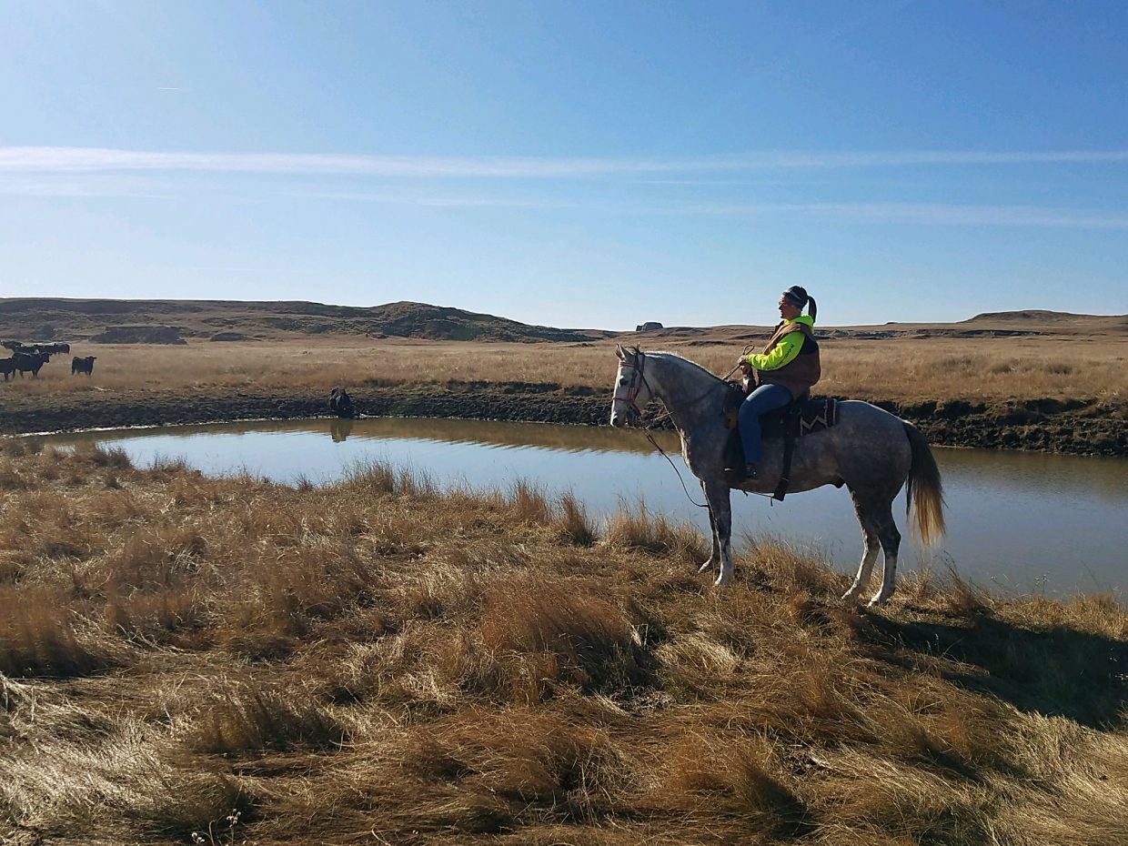 Making it home for Christmas: Camp Crook’s Comes dealing with horse ...