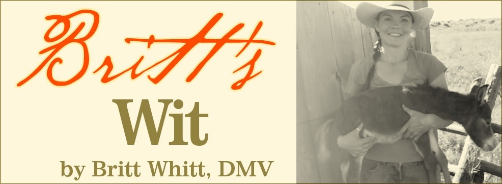 Britt Whitt: Tale of two appointments | TSLN.com