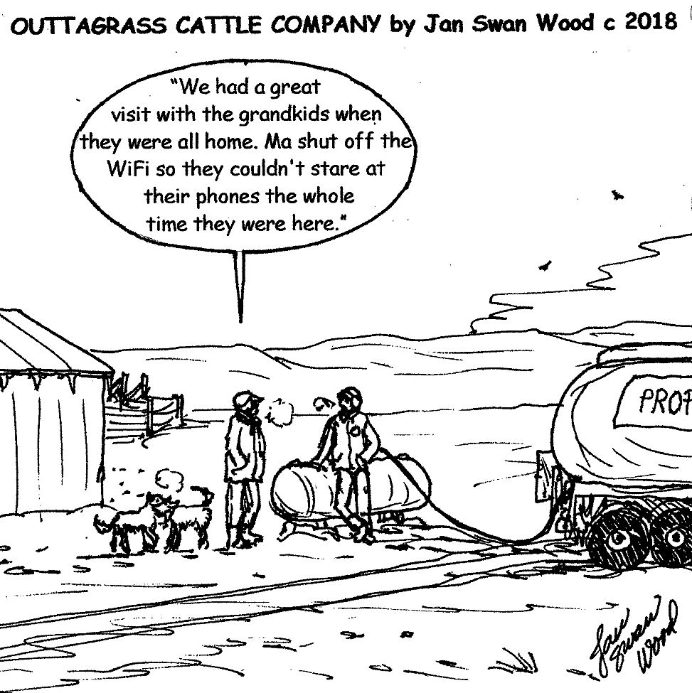 Outtagrass Cattle Co. cartoon by Jan Swan Wood | TSLN.com