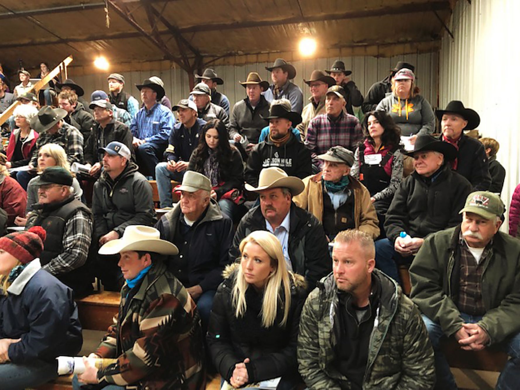 Sitz Angus 53rd Annual Fall Bull Sale | TSLN.com