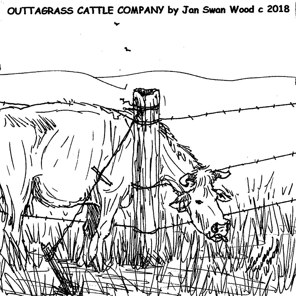 Outtagrass Cattle Co. cartoon by Jan Swan Wood | TSLN.com